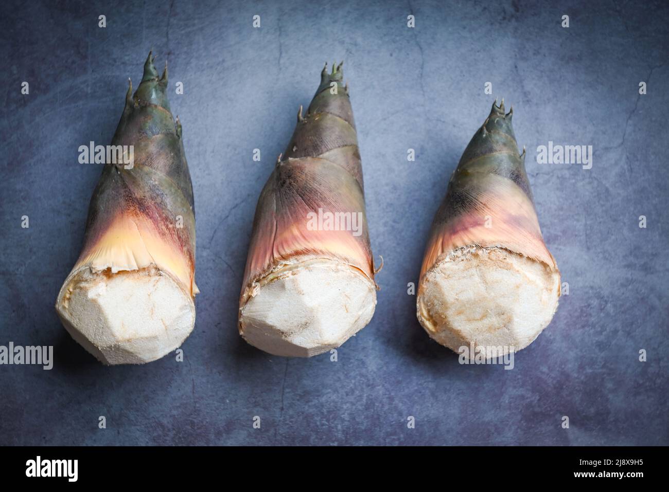 Fresh raw bamboo shoot for cooking food in thailand, Bamboo shoots on ...