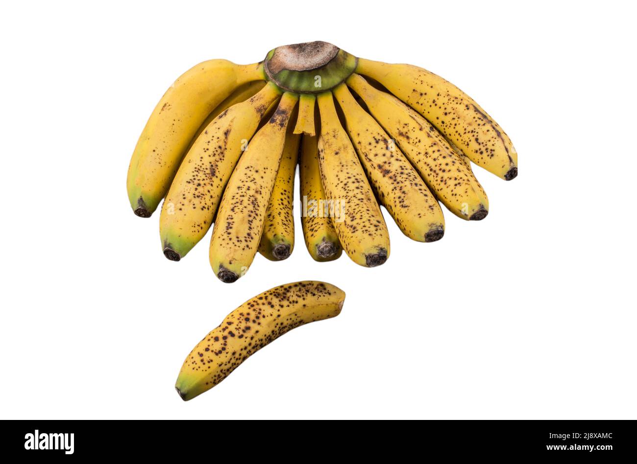 banana fruit close up, tropical fruit pattern, banana isolated Stock ...