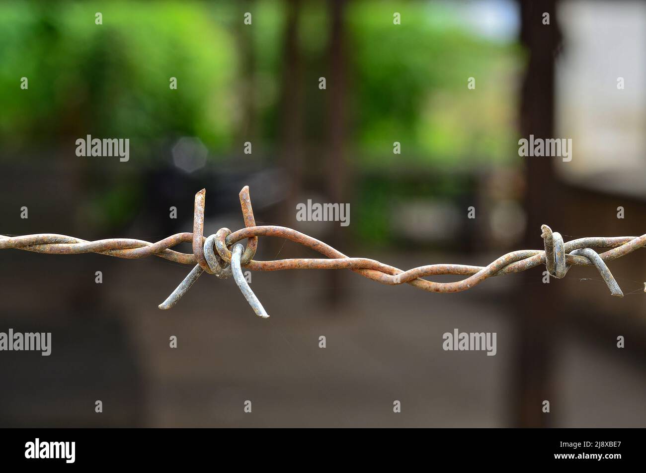 Stretched fence hi-res stock photography and images - Alamy