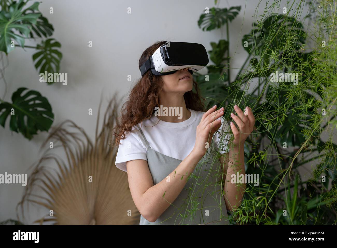 Home gardening, metaverse. Woman using VR glasses in greenhouse ...