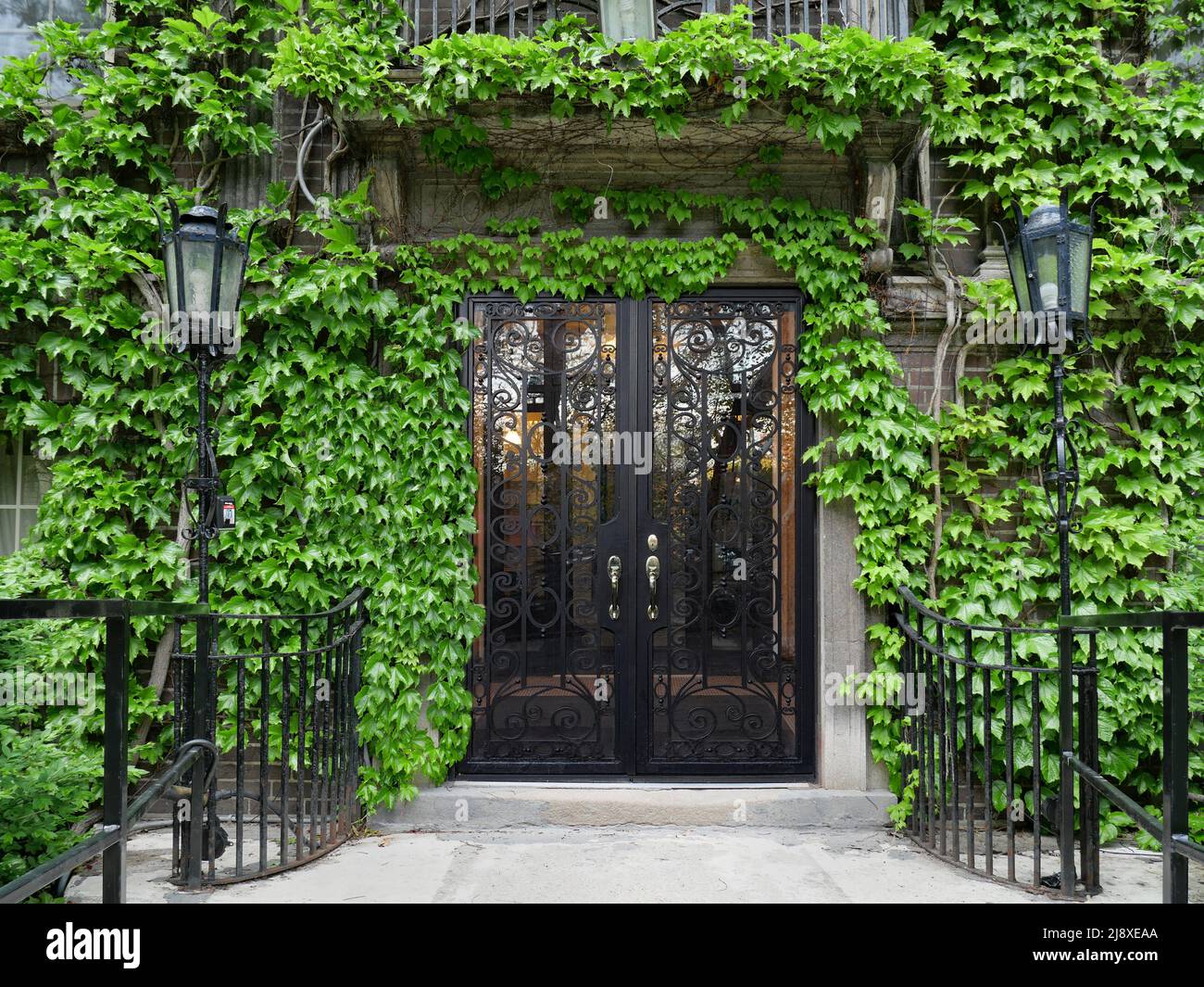 Entrance to ivy covered building Stock Photo - Alamy