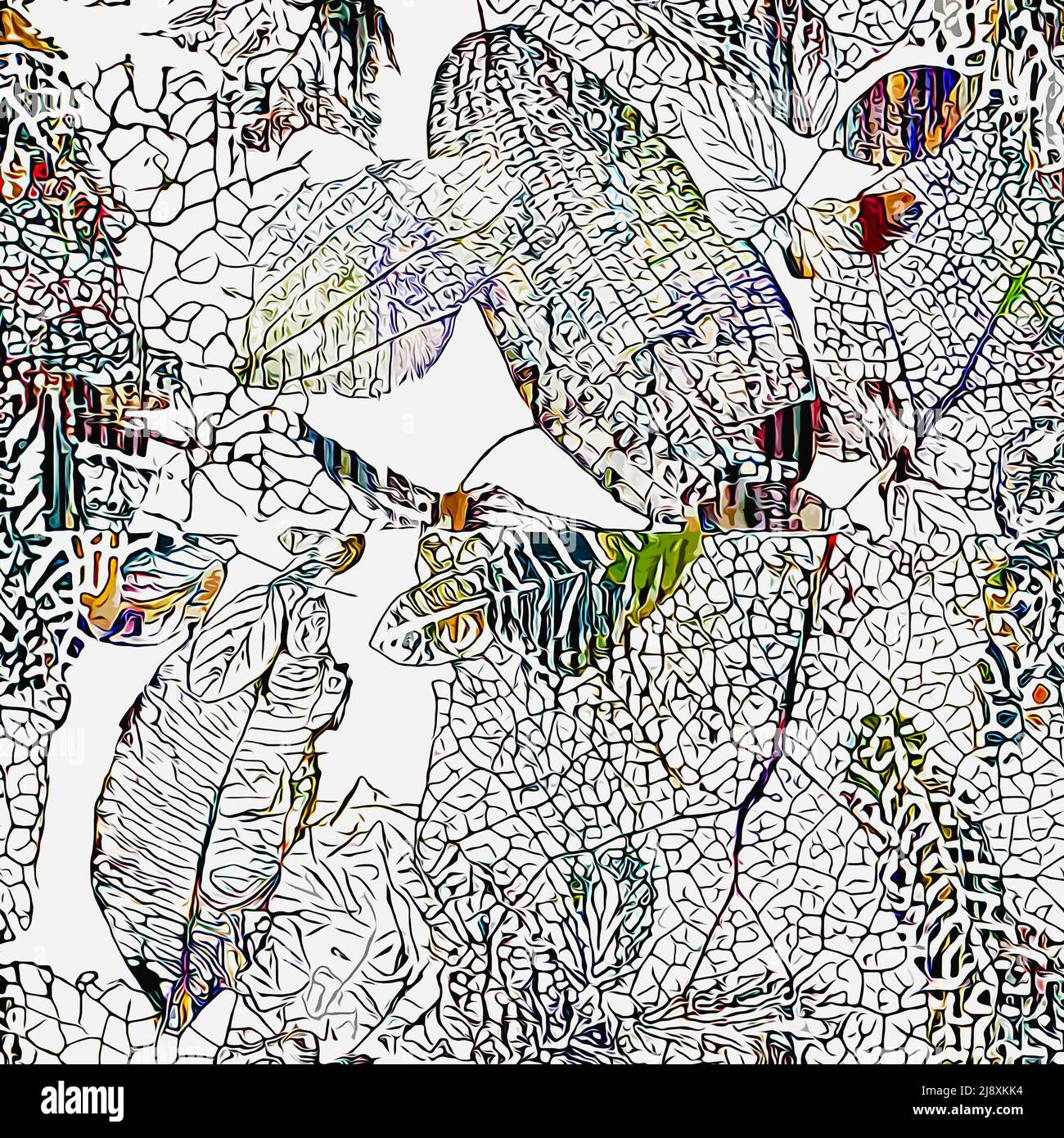 Textile and wallpaper patterns. A printable digital illustration work ...