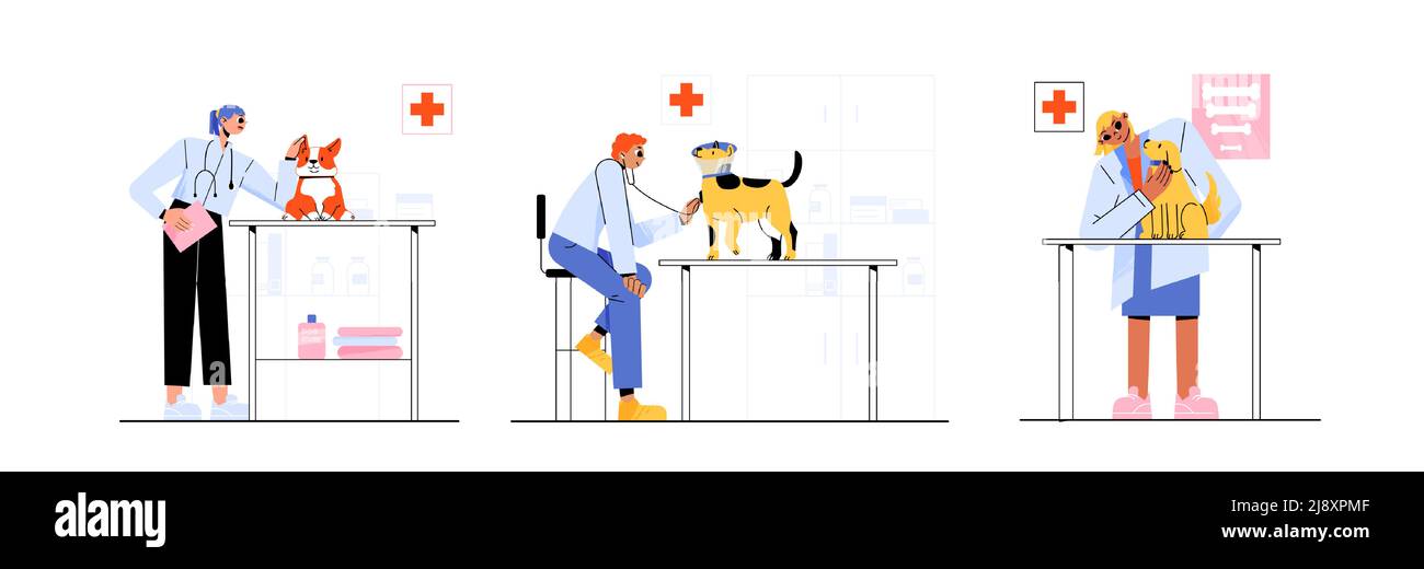 Veterinarian doctors exam dogs in clinic. Vector flat illustration of ...