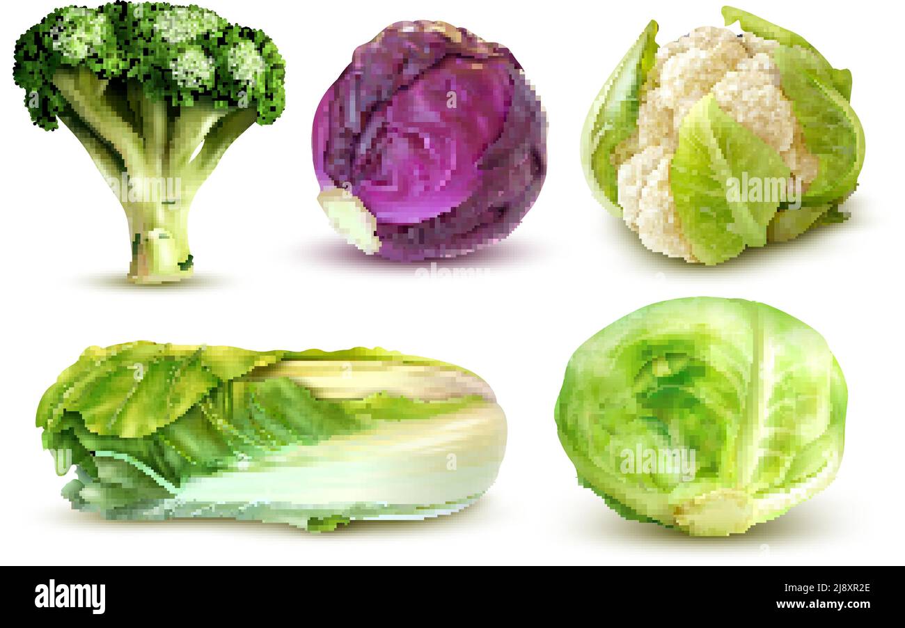 Realistic set with fresh white cabbage broccoli chinese leaves ...