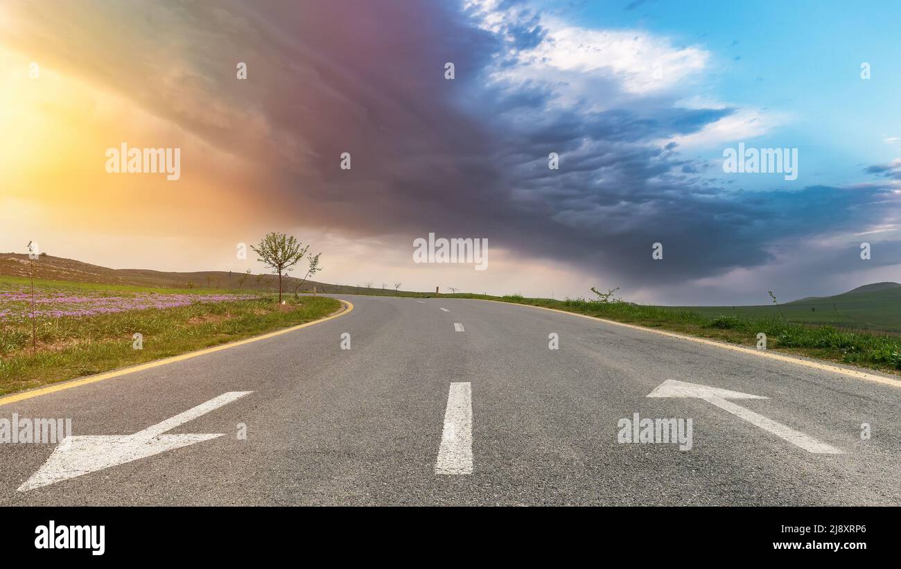 Country road between blooming hi-res stock photography and images - Alamy
