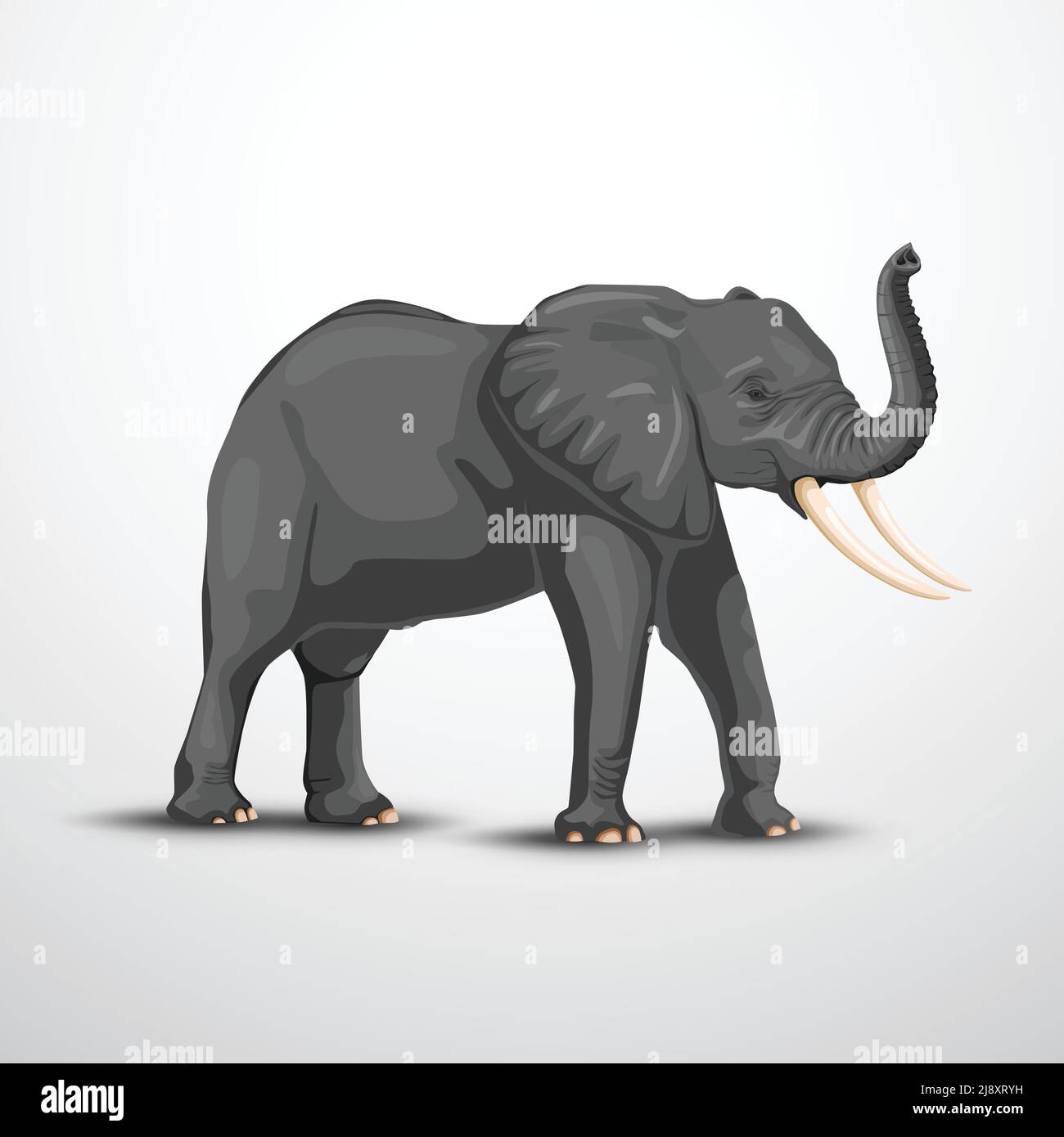 Tiger drawing hi-res stock photography and images - Alamy