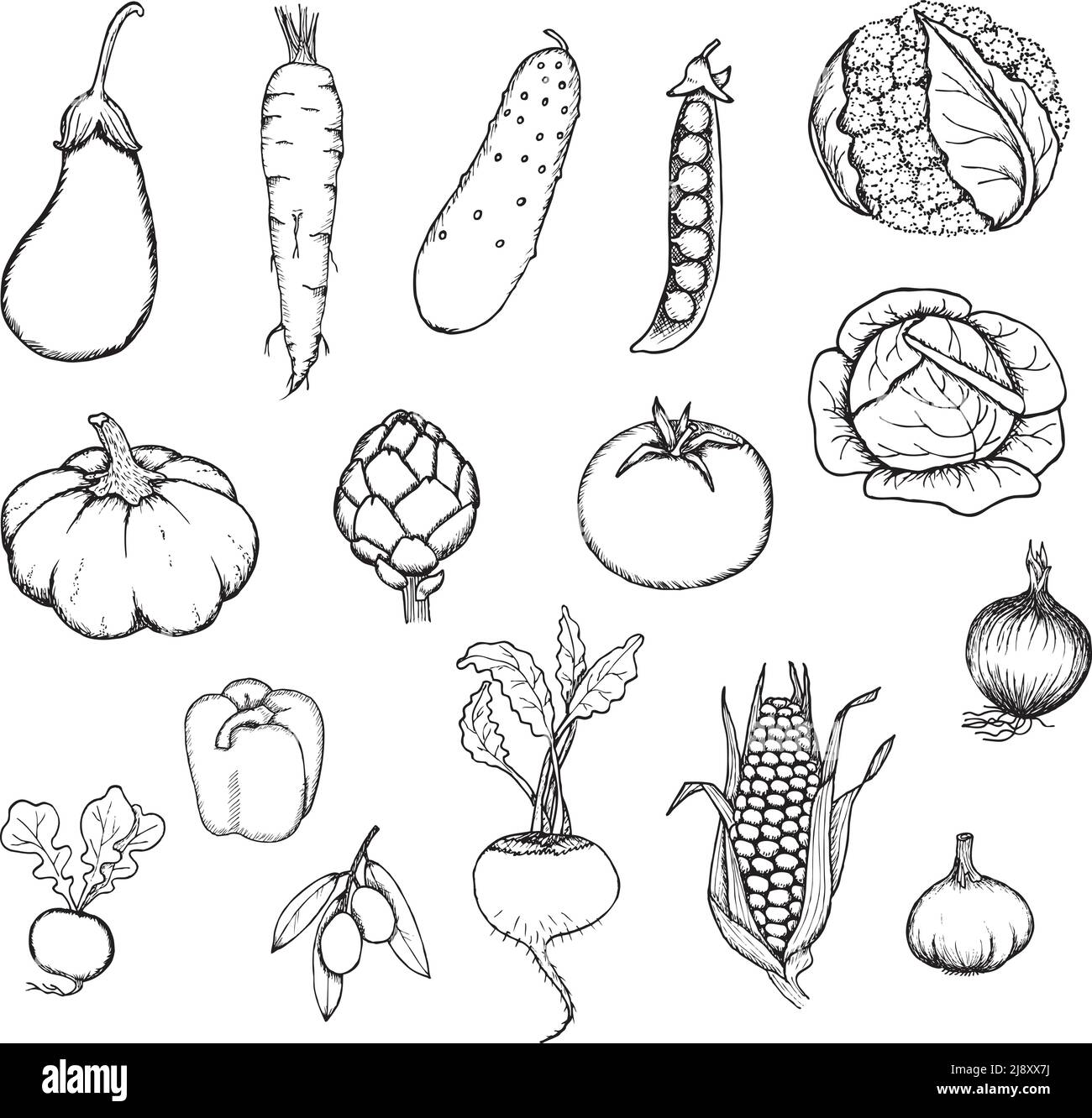 Hand drawn fresh organic vegetables set in monochrome style on white ...