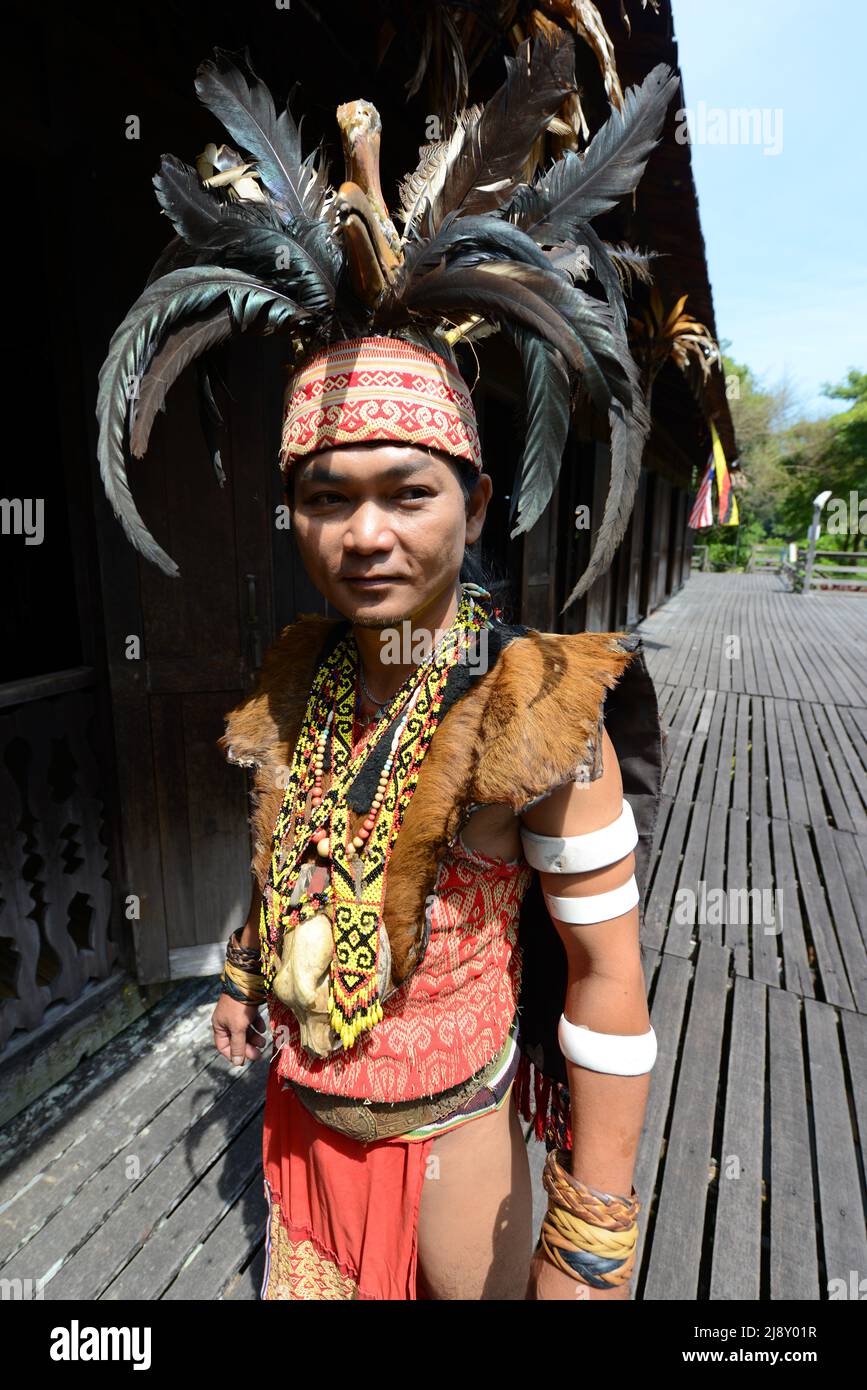 A young Iban man in warrior headhunter regalia, including hornbill ...