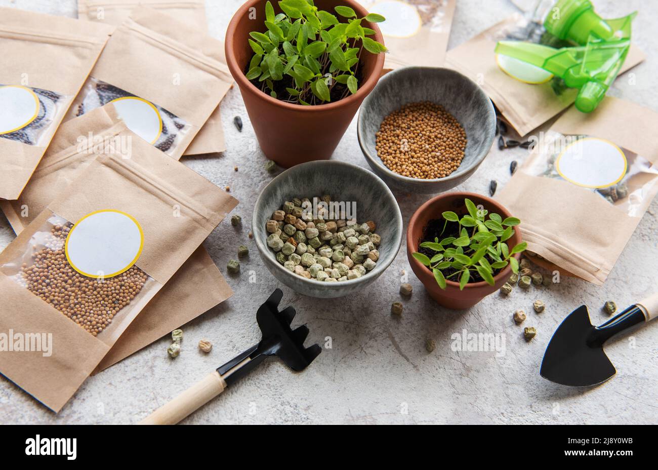 Microgreen seeds in paper bags and microgreen sowing equipment on the ...