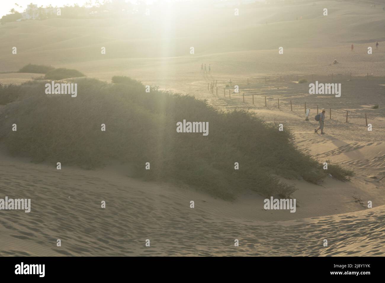 Interlocking patterns in sand - sand dunes, Maspalomas, Cran Canaria ...