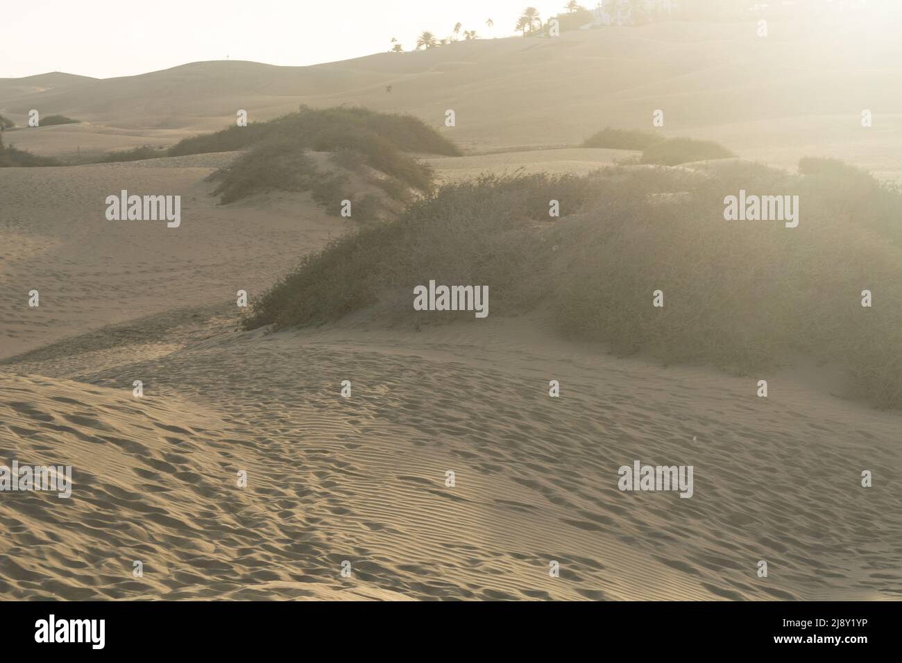 Interlocking patterns in sand - sand dunes, Maspalomas, Cran Canaria ...