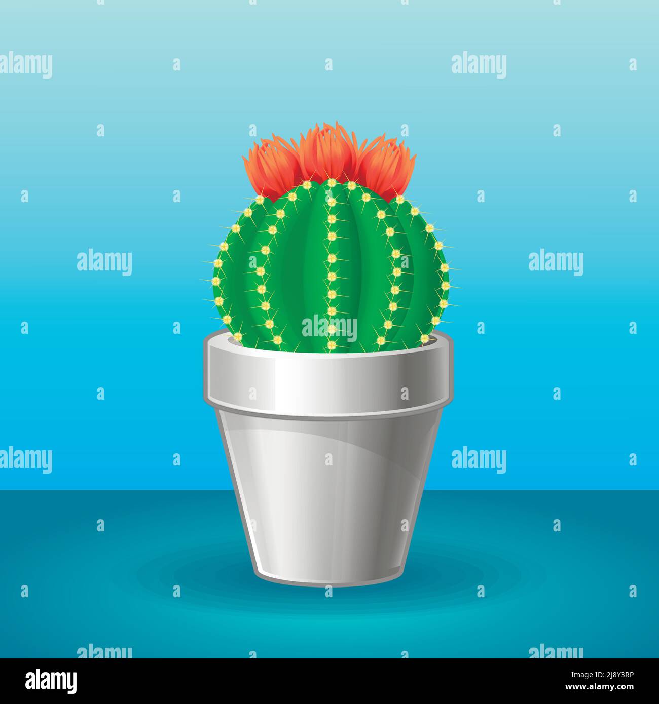 Organic exotic plant concept with blooming sharp cactus in flowerpot on ...