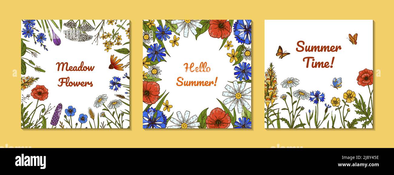 Set of cute botany designs with field flowers and butterflies. Colorful ...