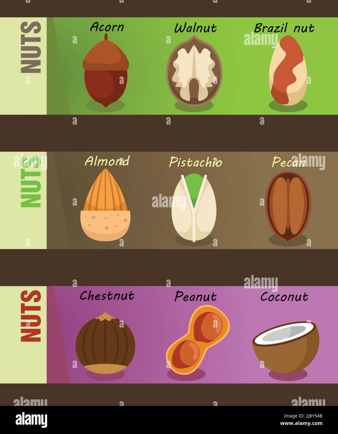 Healthy natural nuts horizontal banners in flat style on green brown ...