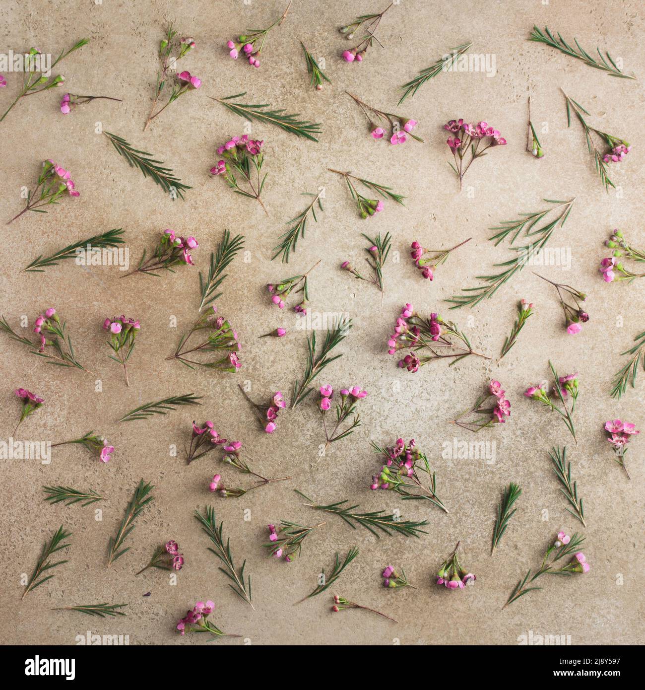 Top view flower pattern hi-res stock photography and images - Alamy