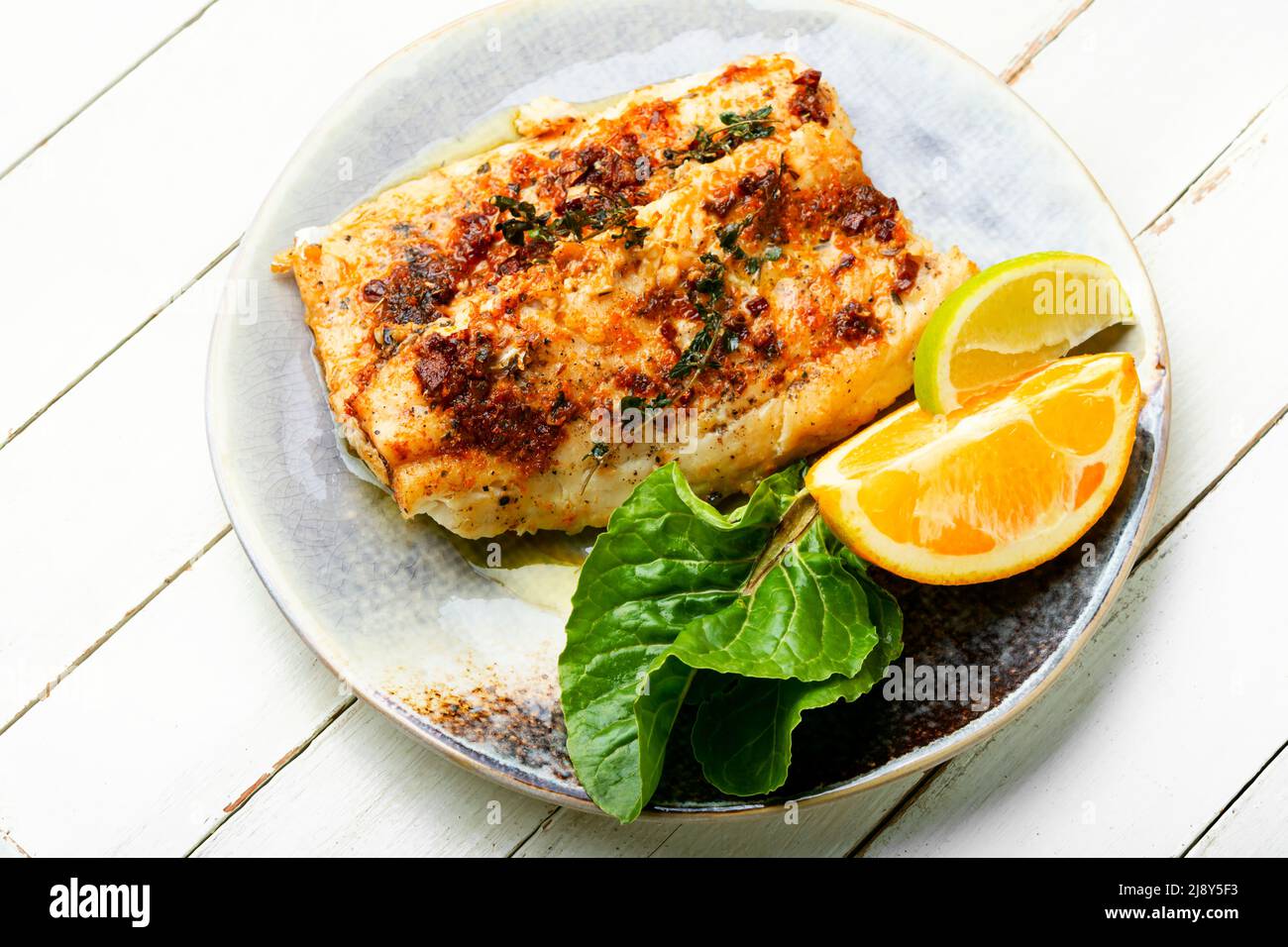 Golden perch fish hi-res stock photography and images - Alamy