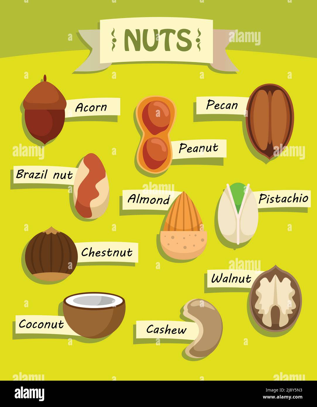 Flat natural nuts elements collection of different sorts on light ...