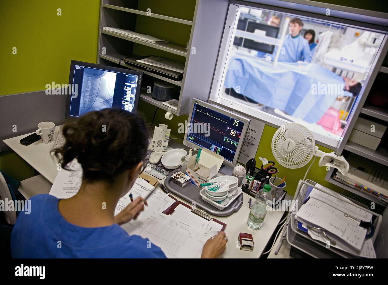 Jugular vein hi-res stock photography and images - Alamy