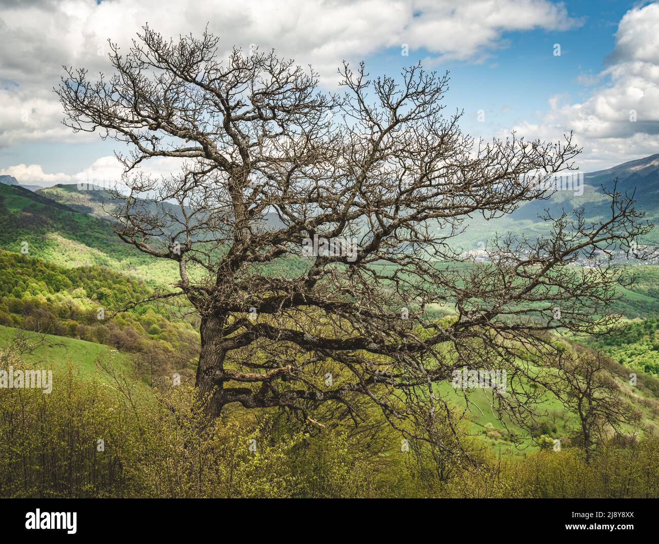 Dilijan national park hi-res stock photography and images - Alamy