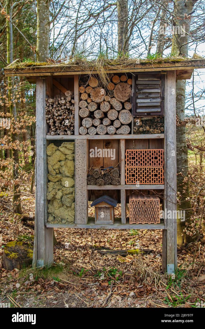 Wintering insects hi-res stock photography and images - Alamy