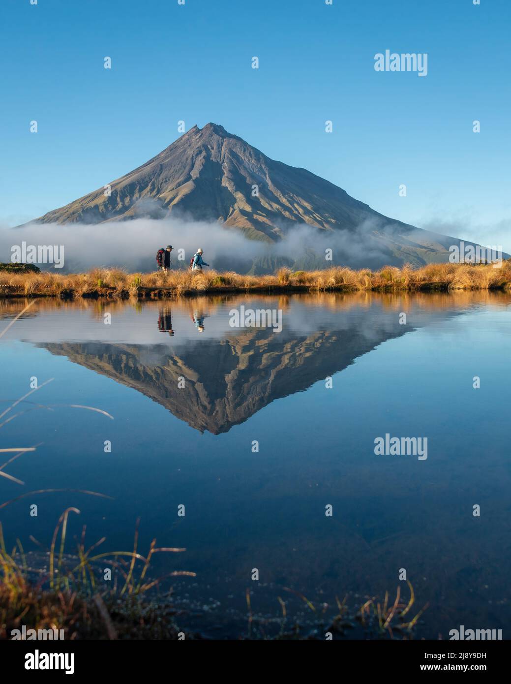 Woman hiking Pouakai circuit. Mt Taranaki reflected in the Pouakai tarn ...