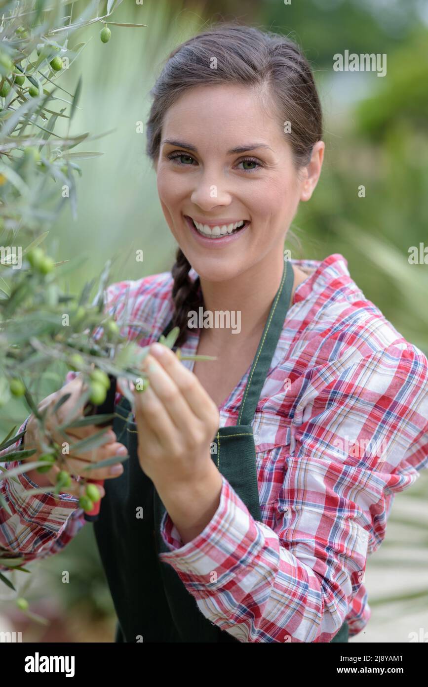 a female olive picker smiling Stock Photo - Alamy