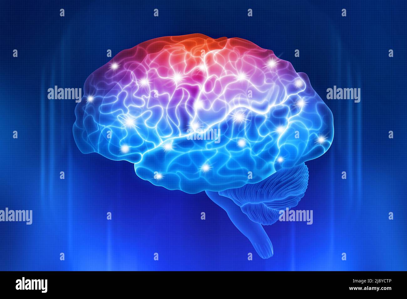 Human brain on a blue background. Active parts of the brain. Digital ...