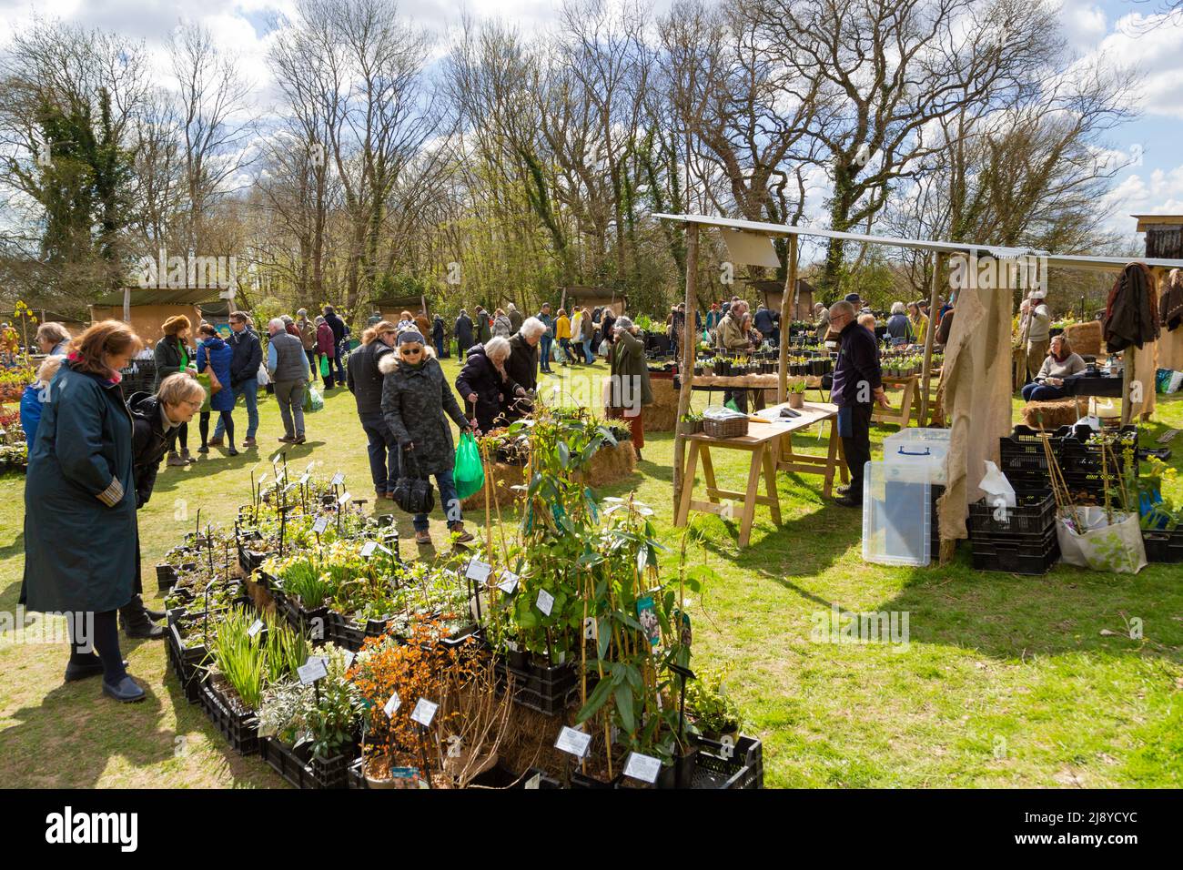 Plant stalls hi-res stock photography and images - Alamy