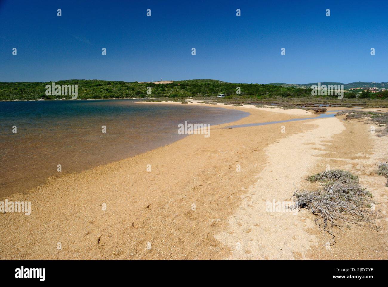 Porto laguna hi-res stock photography and images - Alamy