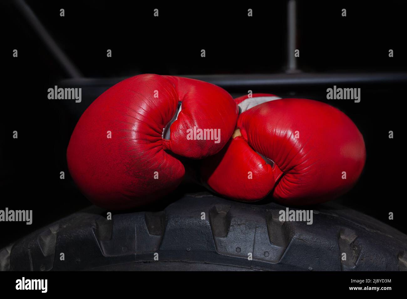 Boxer in truck hi-res stock photography and images - Alamy