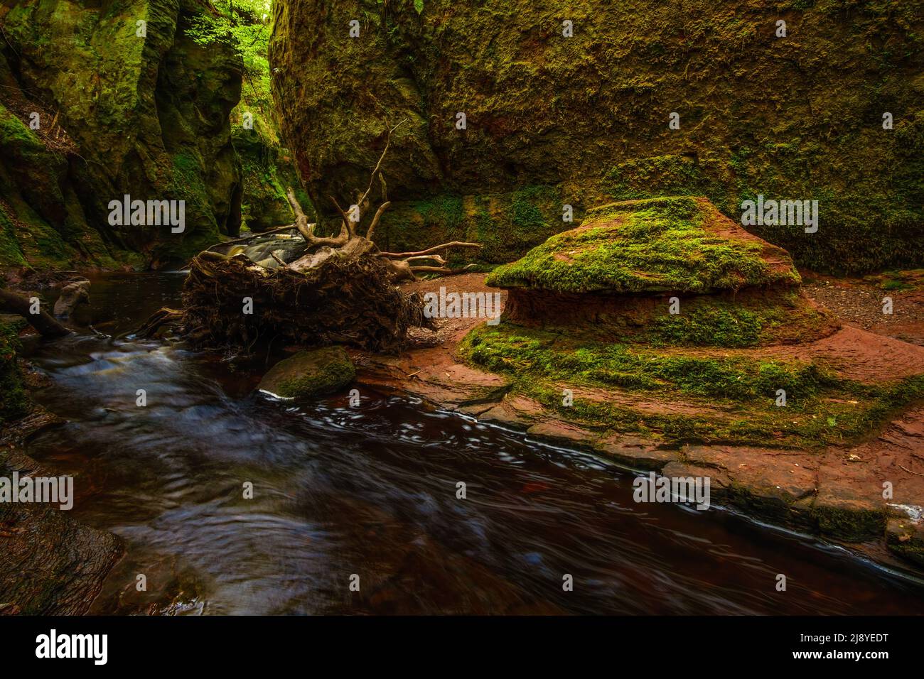 The Devil's Pulpit, Finnich Glen, Sterlingshire, Scotland Stock Photo ...