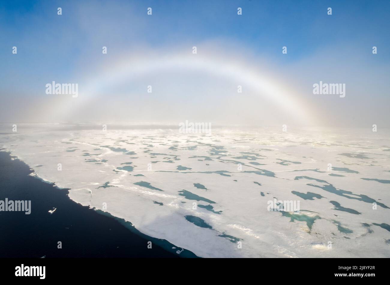 A rare fog bow hangs over sea ice in the Arctic Ocean Stock Photo - Alamy