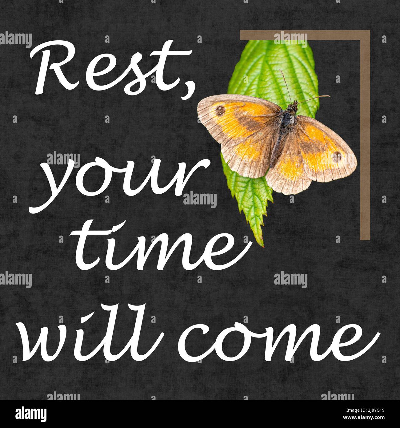 Rest, Your time will come - Quote / Slogan / Illustration Stock Photo ...