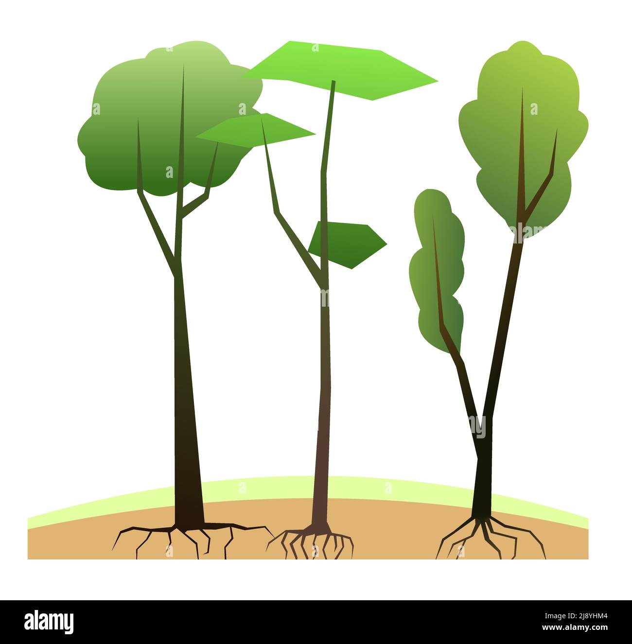 Capillary Action Tree