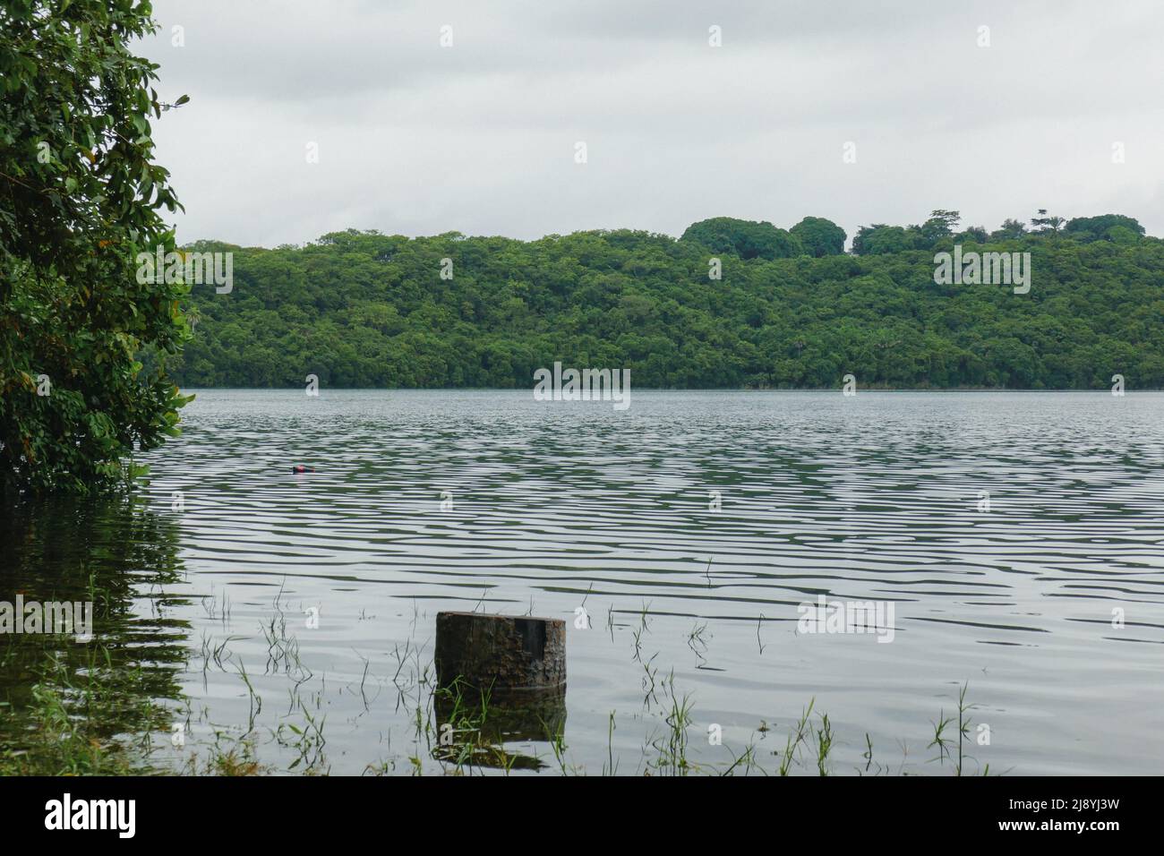 Scenic view of Kisiba Crater Lake, a crater lake in Mbeya, Tanzania ...