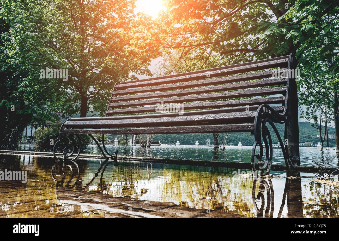 Empty bench in flooded park among green trees. Flood, flooding of river ...