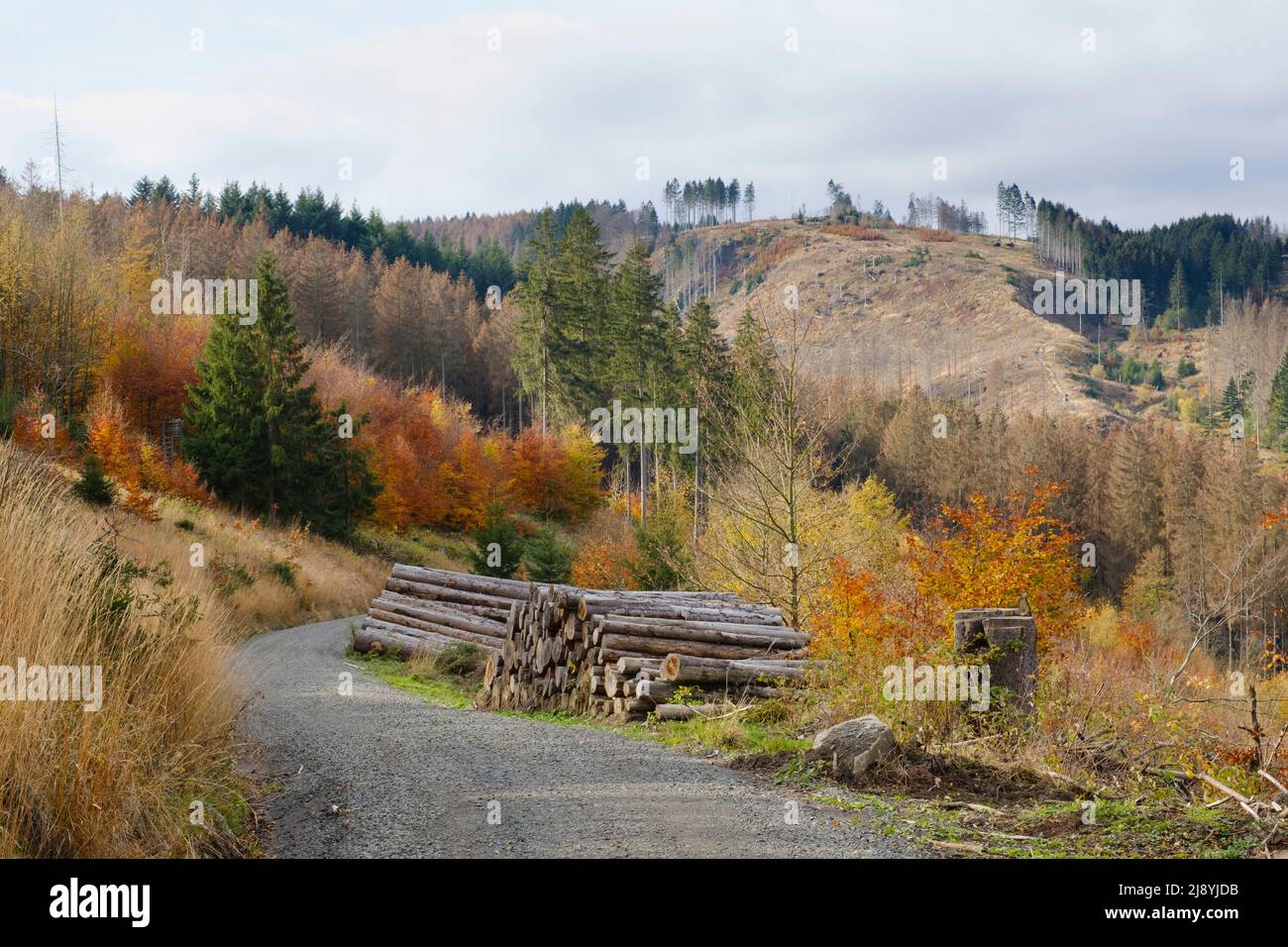 Harz mountain hi-res stock photography and images - Alamy
