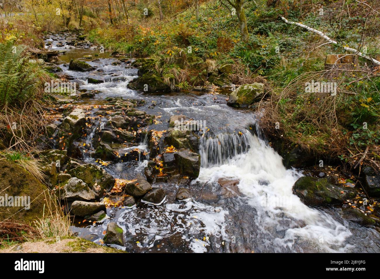 River Radau at the Radau valley, Harz Stock Photo - Alamy