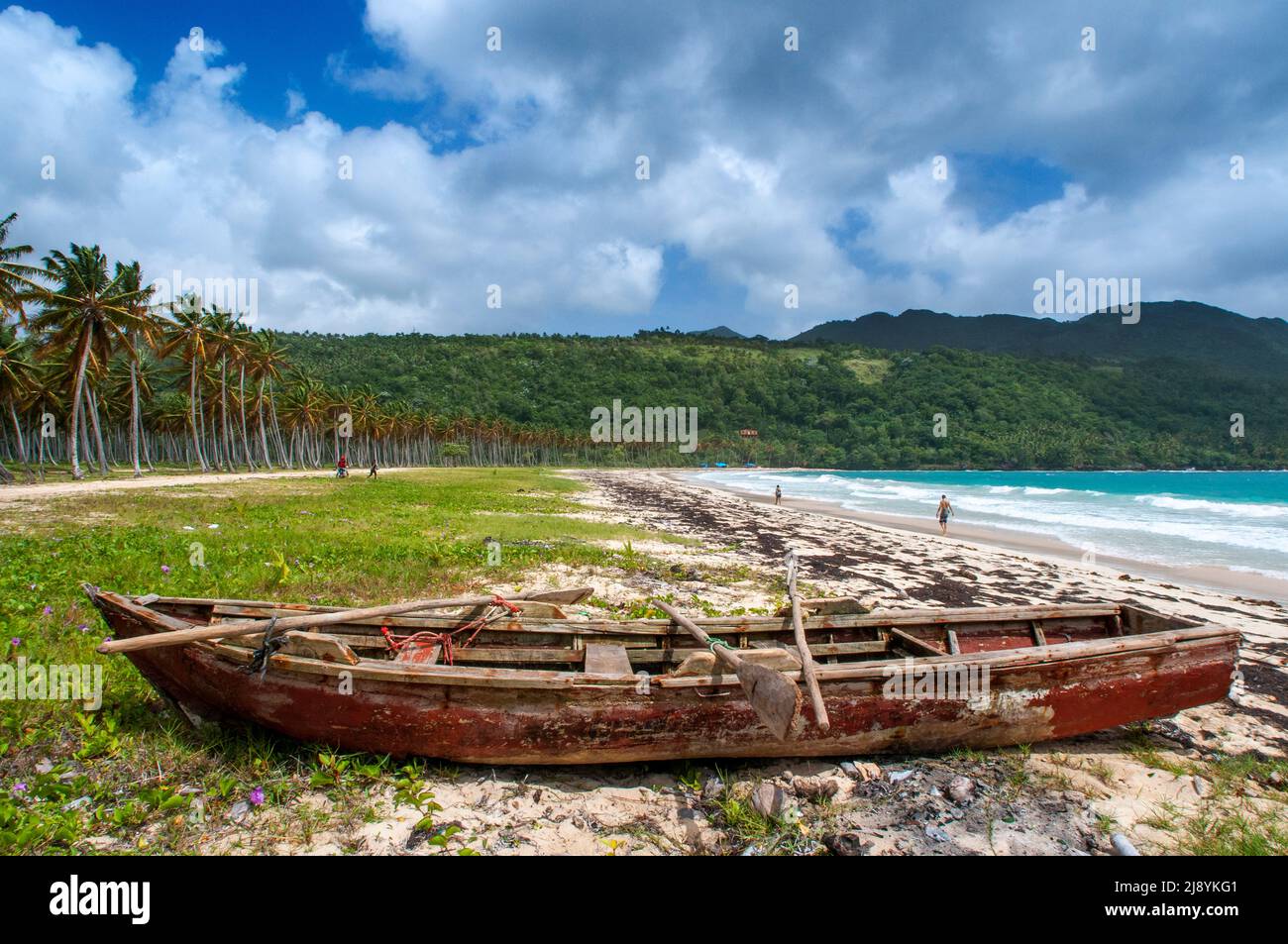 Palms on the beach in Playa bonita beach on the Samana peninsula in ...