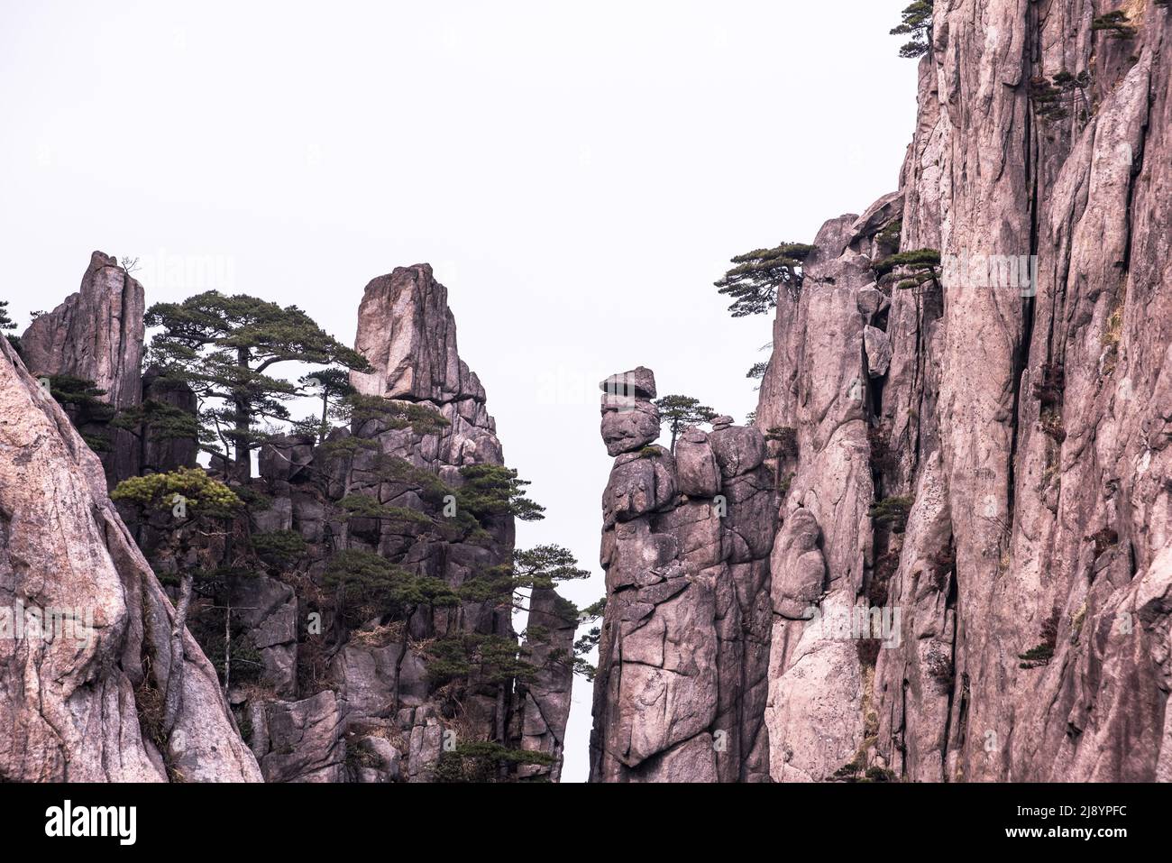 Wonderful and curious sea of clouds at beautiful Huangshan mountain landscape in China Stock ...