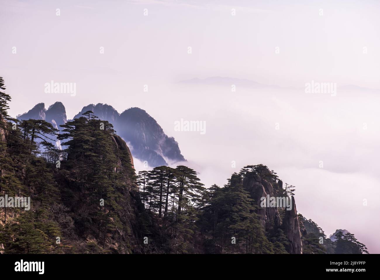 Wonderful and curious sea of clouds at beautiful Huangshan mountain landscape in China Stock ...