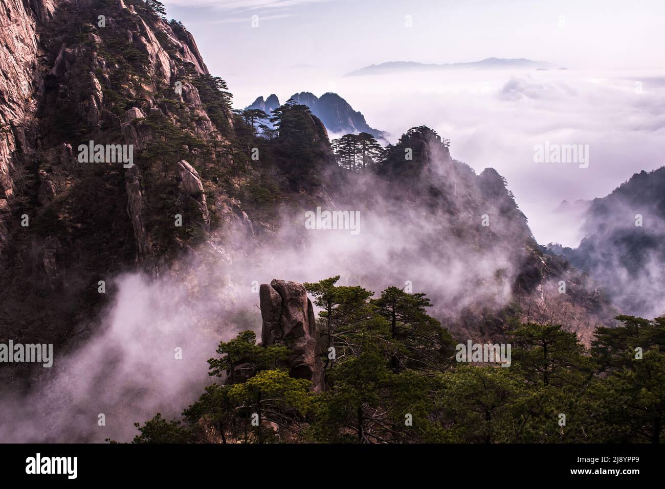 Wonderful and curious sea of clouds at beautiful Huangshan mountain landscape in China Stock ...
