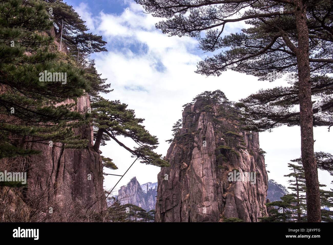 Wonderful and curious sea of clouds at beautiful Huangshan mountain landscape in China Stock ...