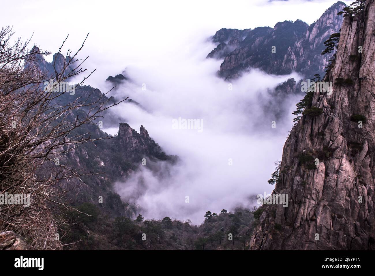 Wonderful and curious sea of clouds at beautiful Huangshan mountain landscape in China Stock ...