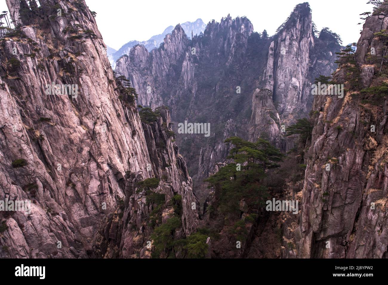 Wonderful and curious sea of clouds at beautiful Huangshan mountain landscape in China Stock ...