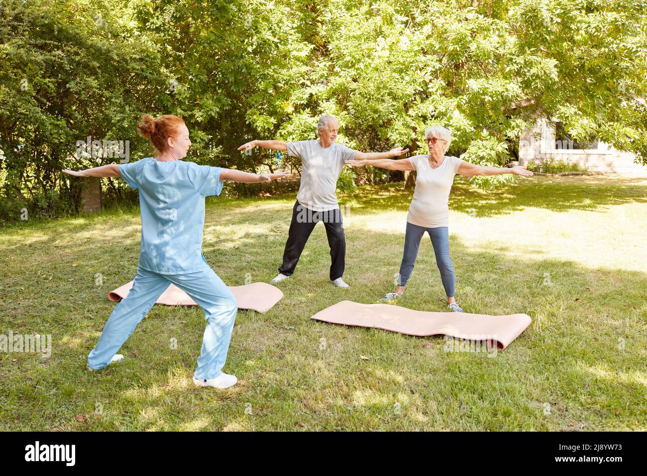 Seniors in the summer in the park do yoga or a gymnastics exercise for ...