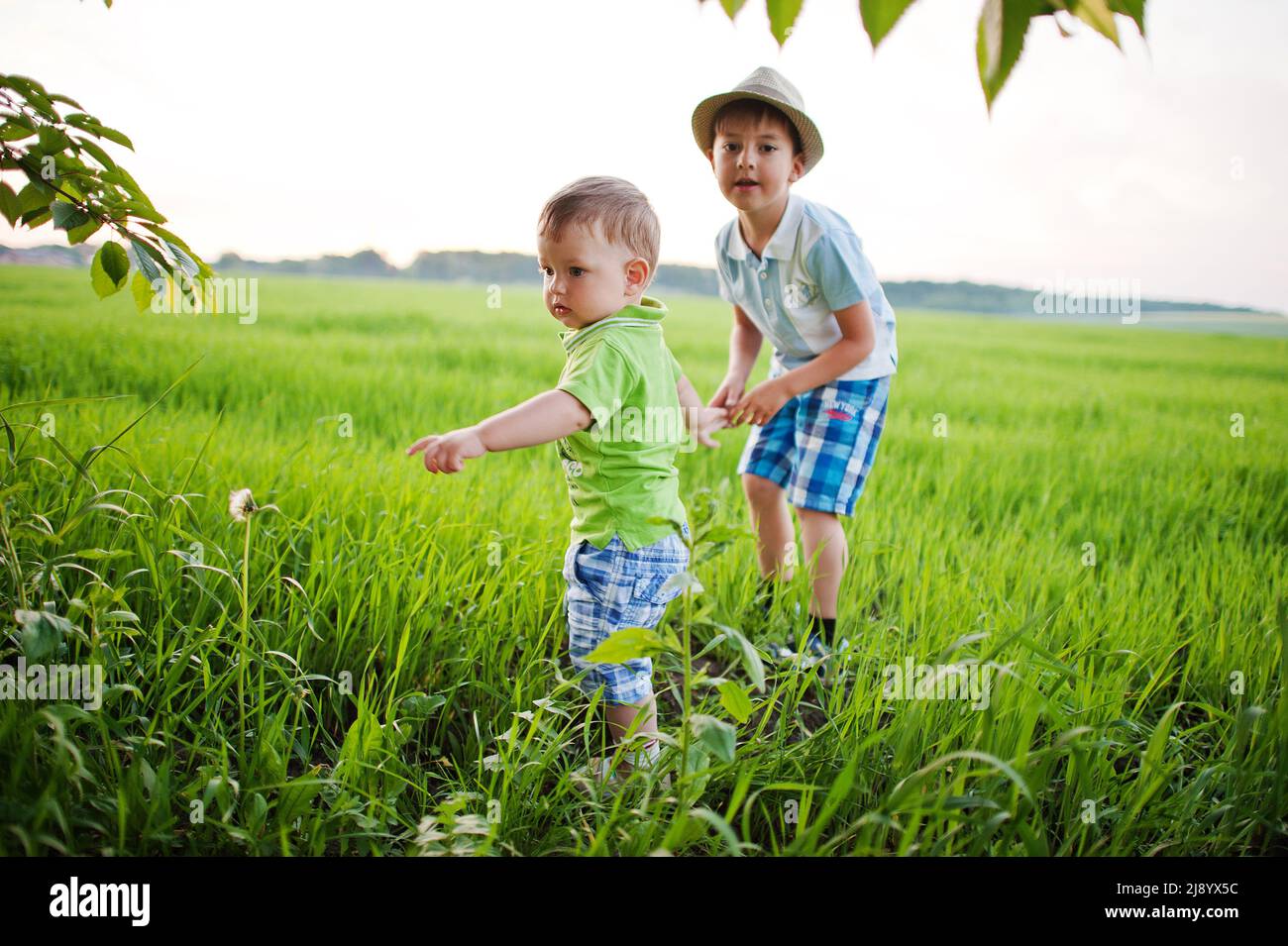 Two brothers walking holding hands at green field, brother love Stock ...