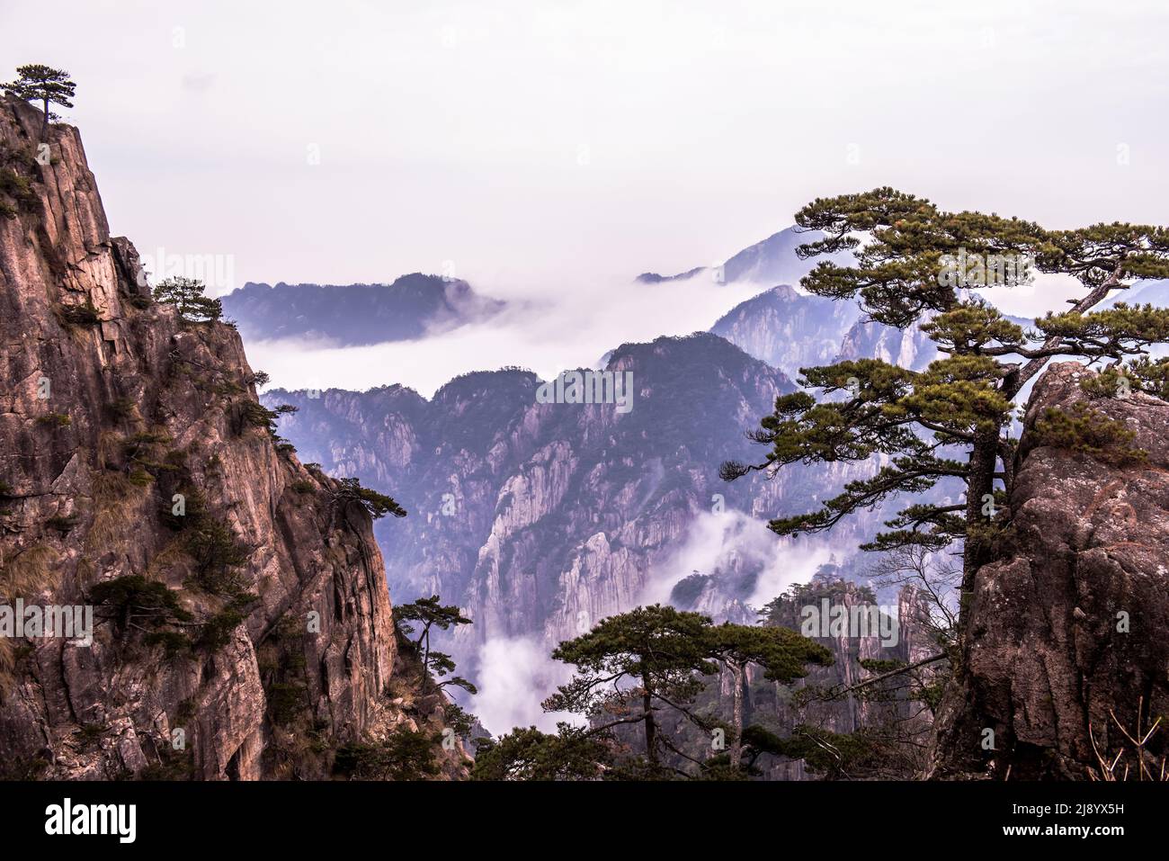 Wonderful and curious sea of clouds at beautiful Huangshan mountain landscape in China Stock ...