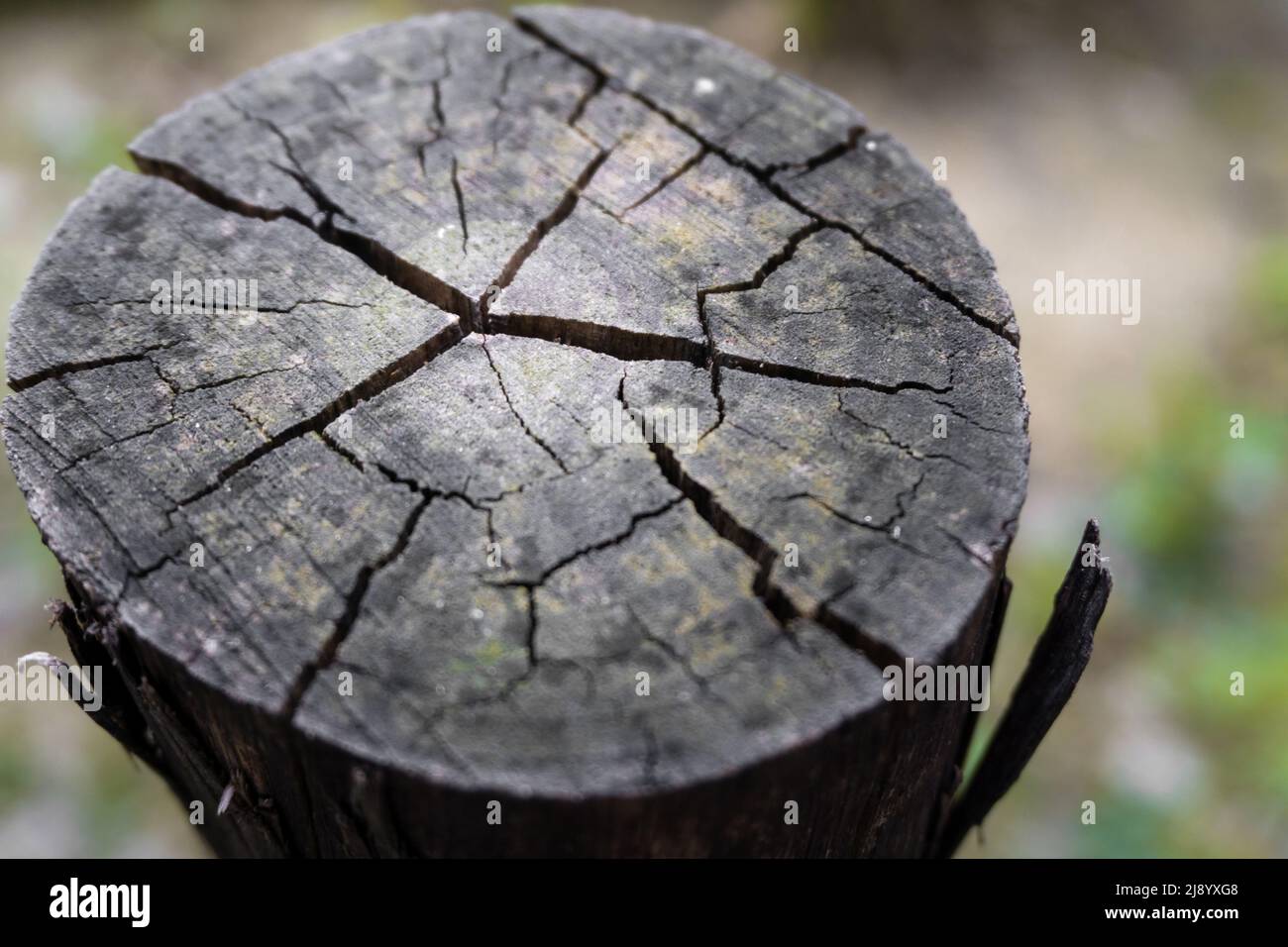 Burnt cracked wood texture hi-res stock photography and images - Alamy