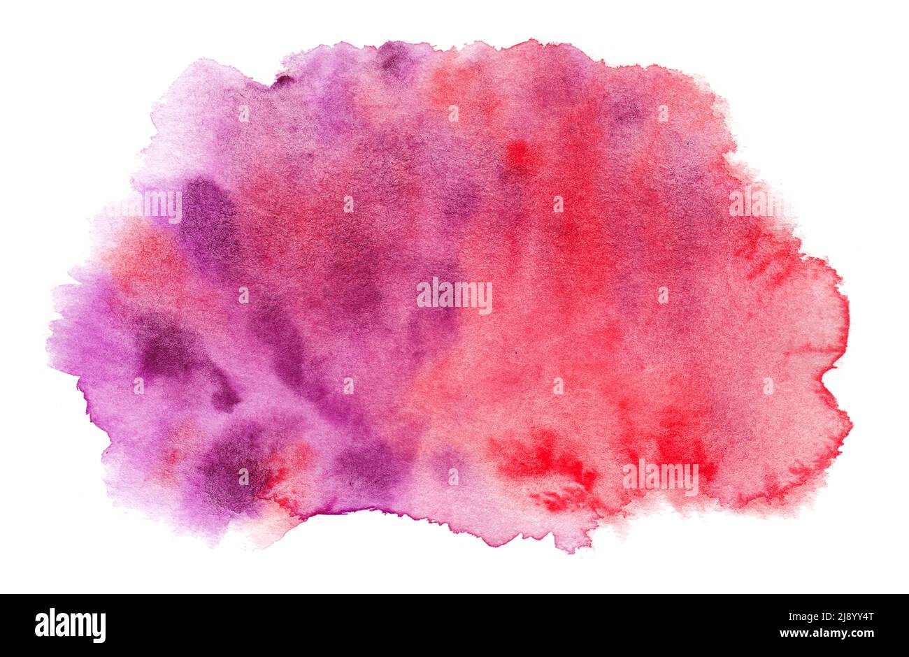 Abstract red purple watercolor splash texture isolated on white ...